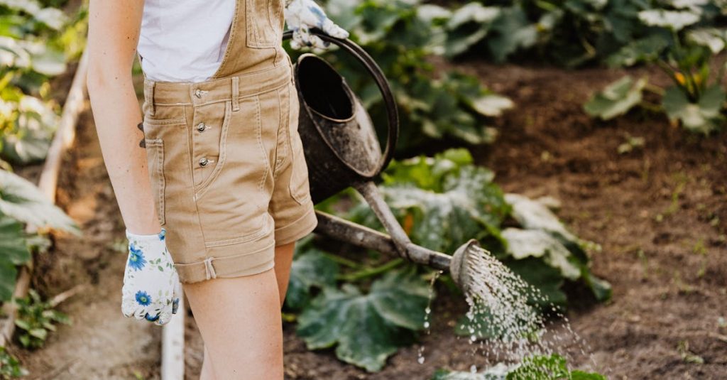 Sustainable living : 10 astuces pour un mode de vie éco-responsable